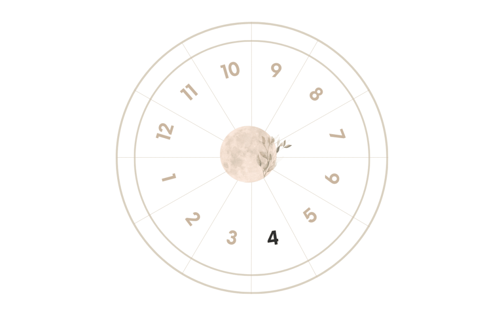 The 4th House in Astrology: Zodiac Signs and Planets in 4th House