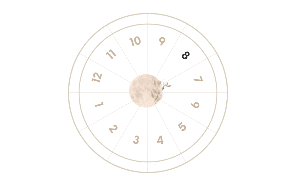 The 8th House in Astrology: Zodiac Signs and Planets in 8th House