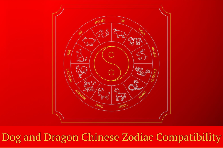 Dog and Dragon Chinese Zodiac Compatibility: Instant Attraction, Love ...
