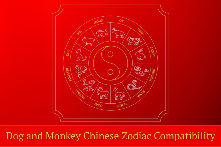 Dog and Monkey Chinese Zodiac Compatibility: Instant Attraction, Love ...