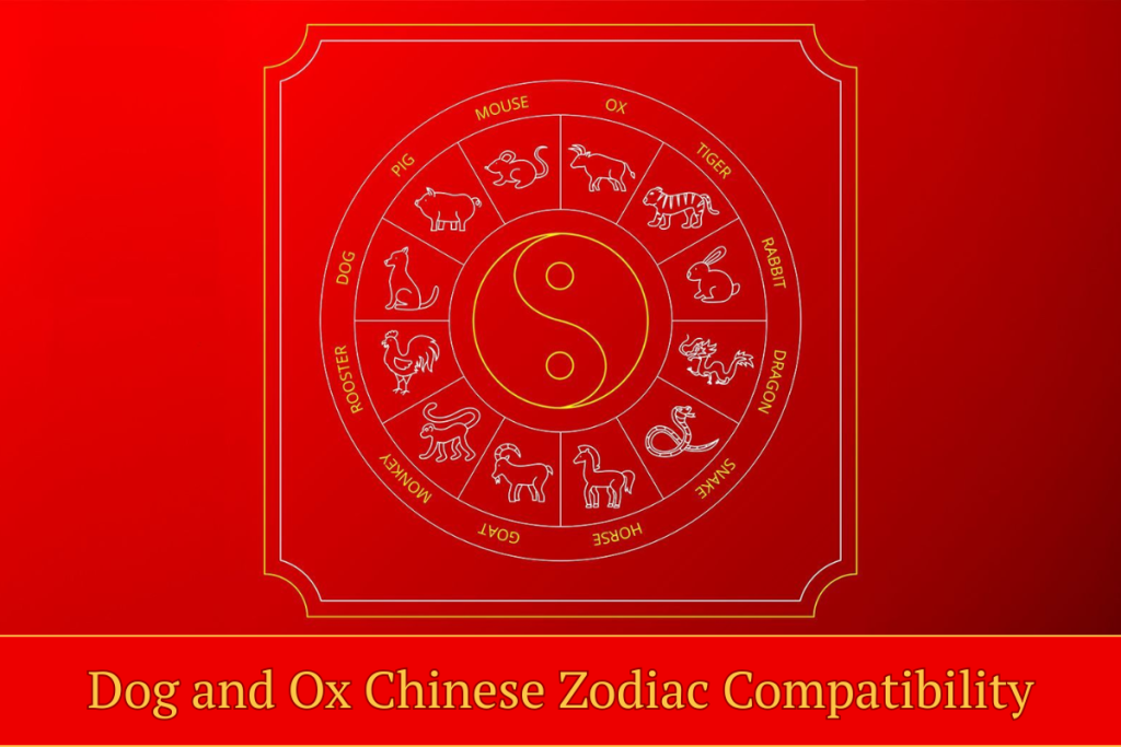 Dog and Ox Chinese Zodiac Compatibility: Instant Attraction, Love and Sex