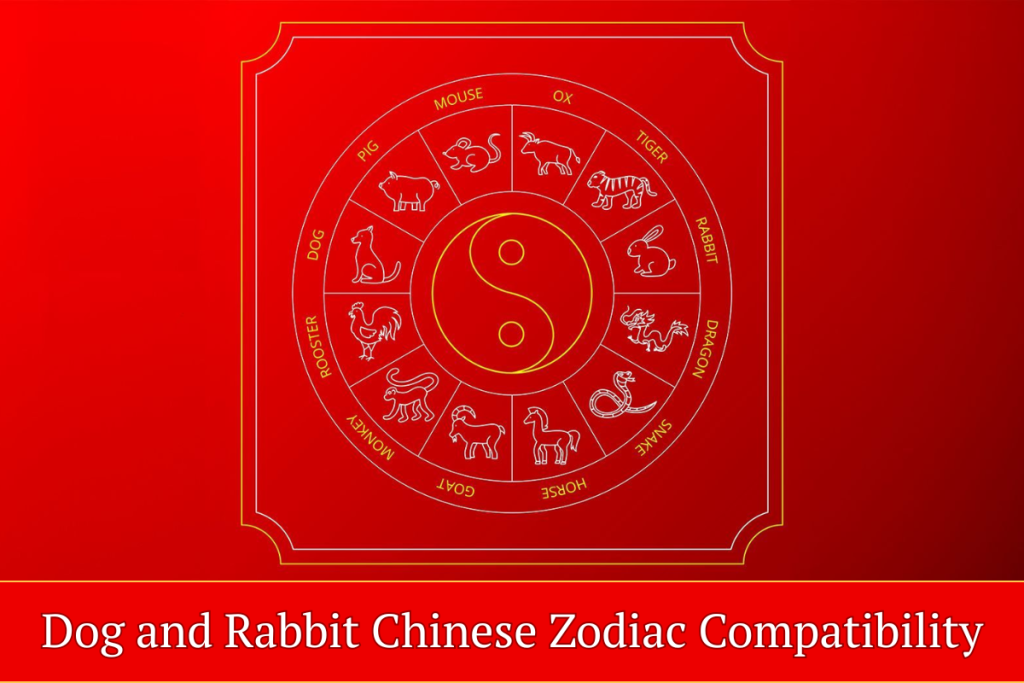 Dog and Rabbit Chinese Zodiac Compatibility: Instant Attraction, Love ...
