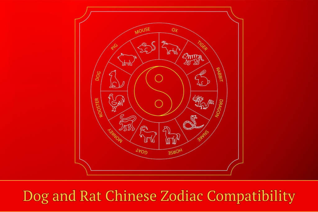 Horse and Rabbit Chinese Zodiac Compatibility: Instant Attraction, Love ...