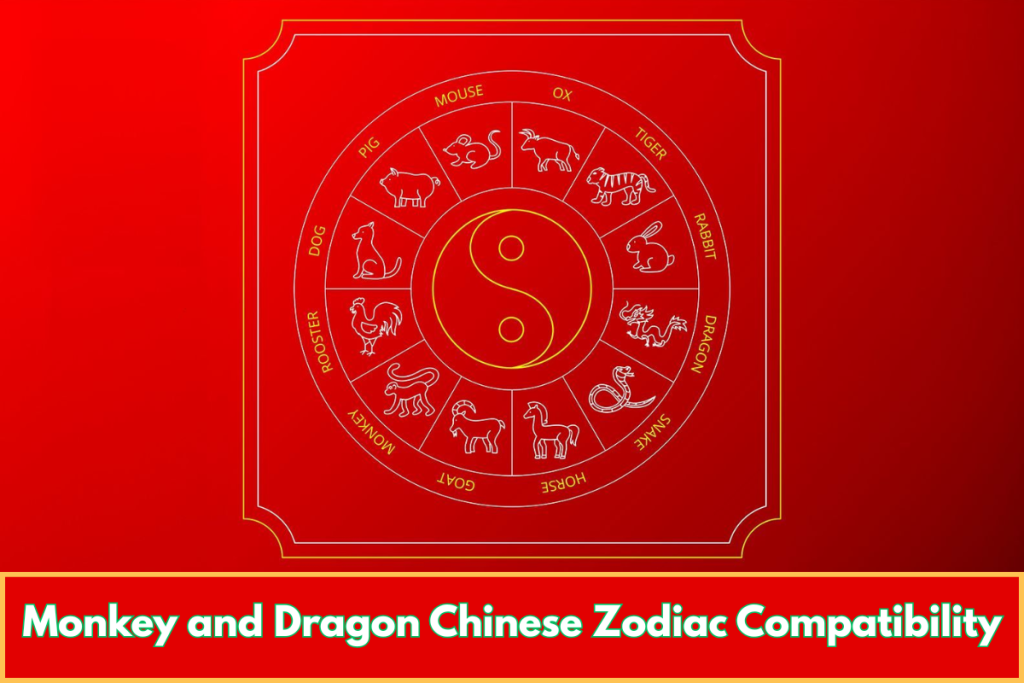 Monkey and Dragon Chinese Zodiac Compatibility: Instant Attraction ...