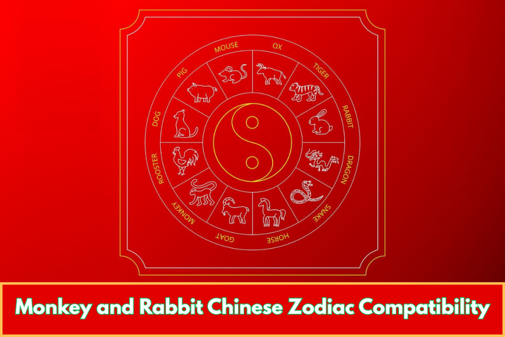 Monkey and Rabbit Chinese Zodiac Compatibility: A Dance of Wit and Grace