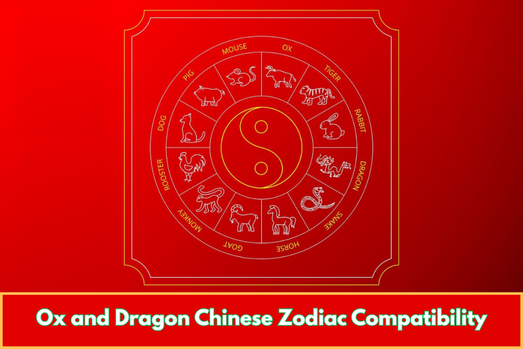 Ox and Dragon Chinese Zodiac Compatibility: Instant Attraction, Love ...