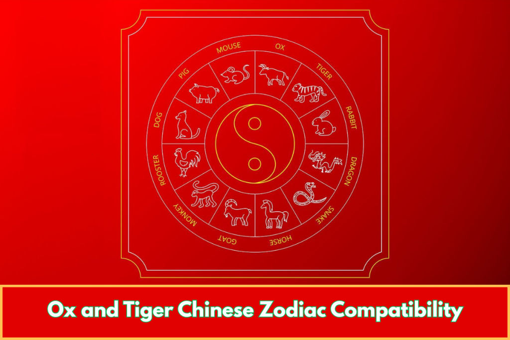 Ox and Tiger Chinese Zodiac Compatibility: Instant Attraction, Love and Sex