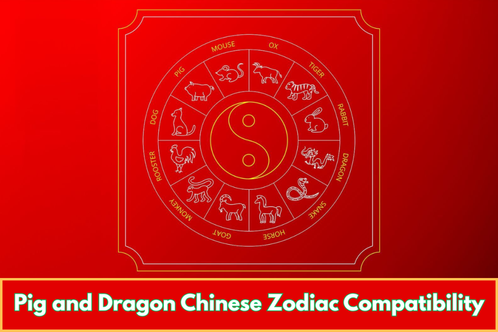 Pig and Dragon Chinese Zodiac Compatibility: A Celestial Fusion of ...