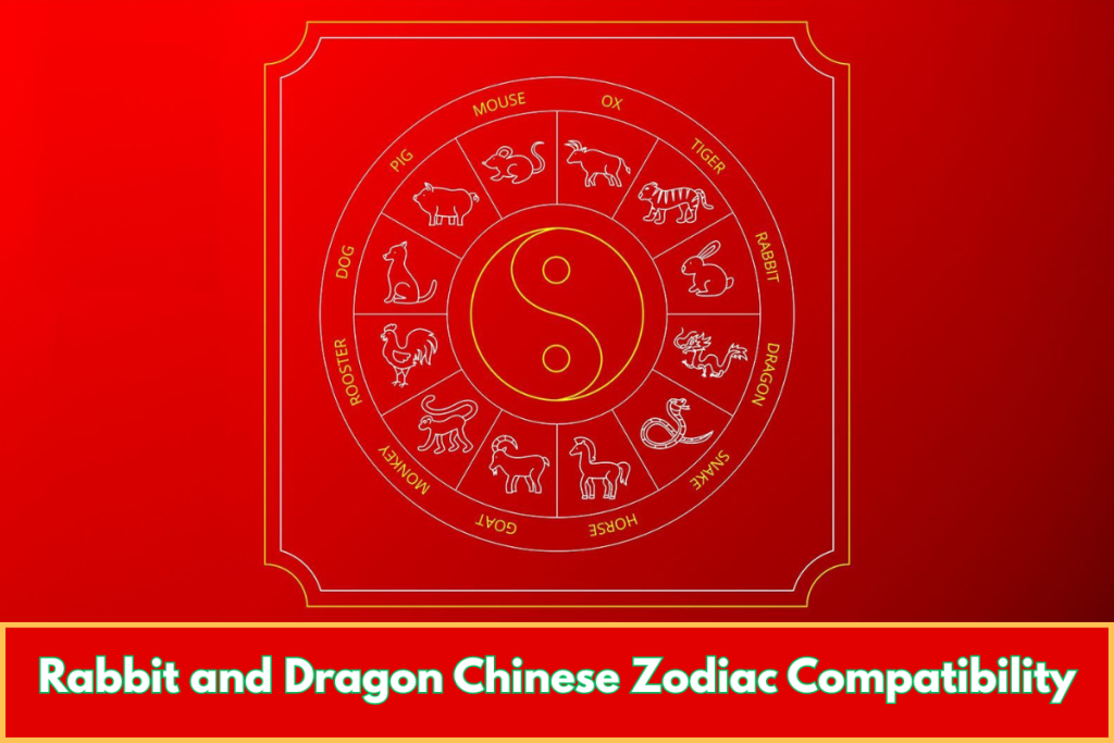 Rabbit and Dragon Chinese Zodiac Compatibility: A Dance of Grace and ...