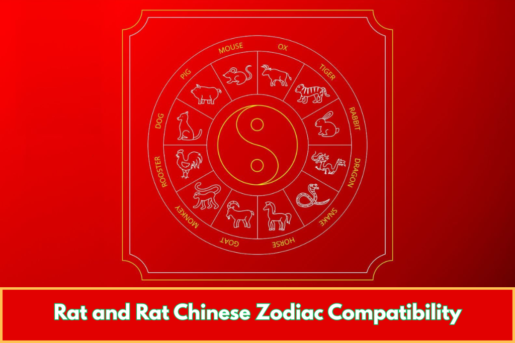 Rat and Rat Chinese Zodiac Compatibility: Instant Attraction, Love and Sex