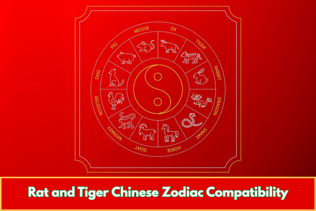 Rat and Tiger Chinese Zodiac Compatibility: Instant Attraction, Love ...