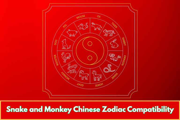 Snake and Monkey Chinese Zodiac Compatibility: Instant Attraction, Love ...